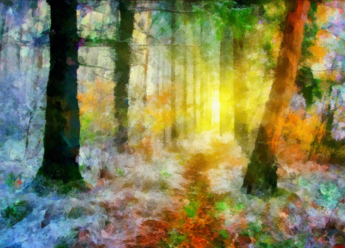 A New Path – Painting with Words