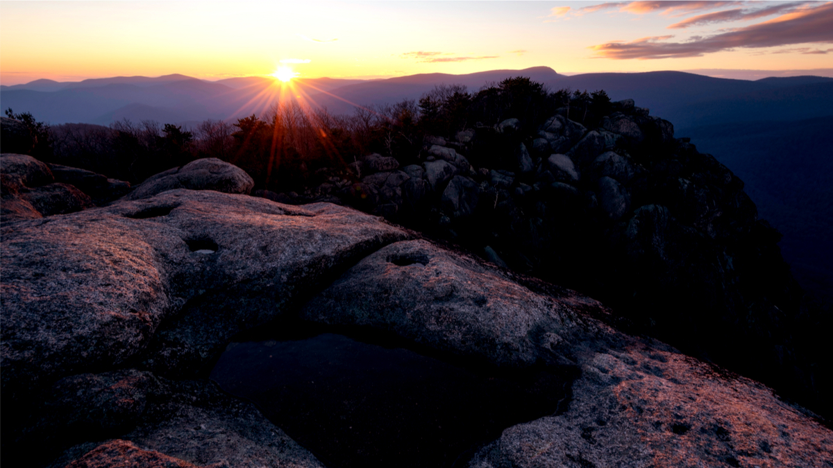 Dangerously Alive – Painting with Words